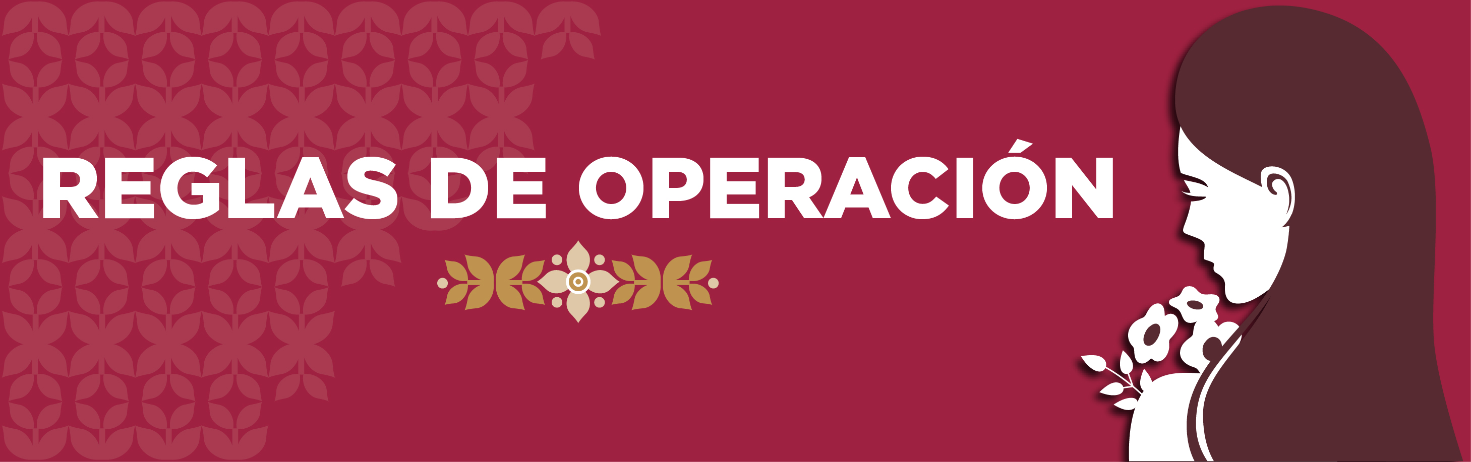 Reglas de Operación | Secretaría de Bienestar